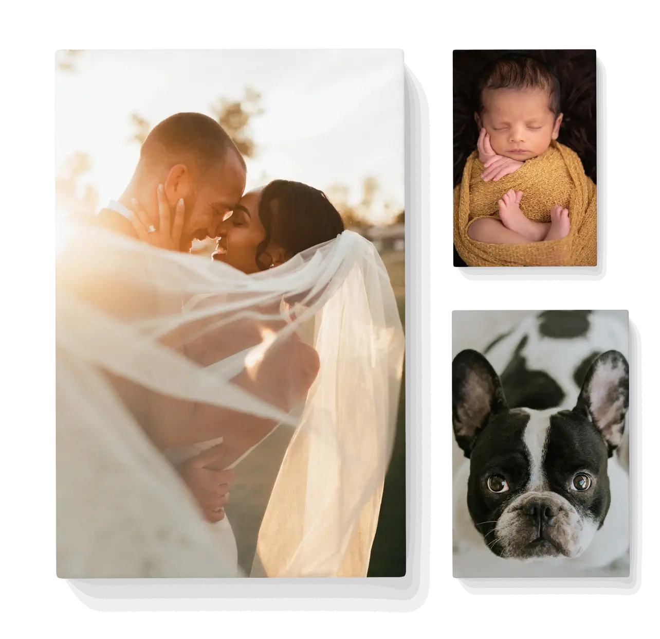 Custom & Personalised Canvas Prints | Parrot Print